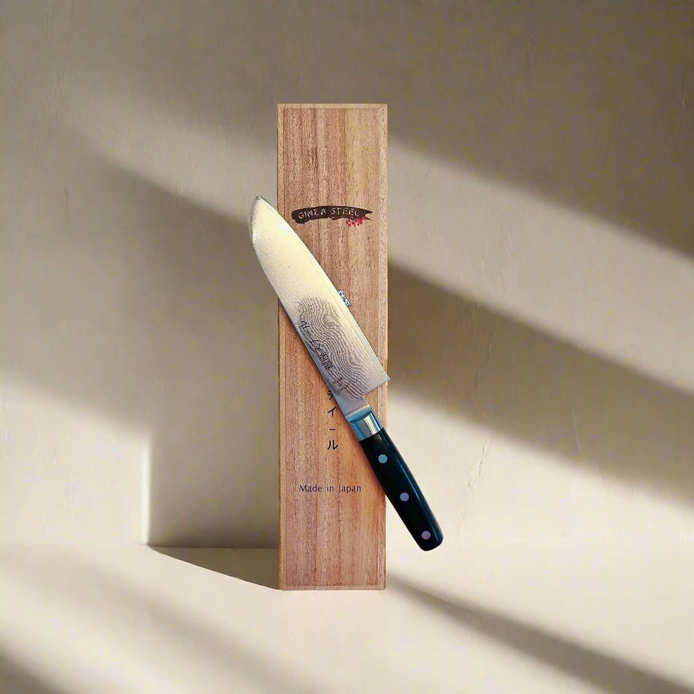 HAYAMI Essential VG10 Damascus Steel Knives Set